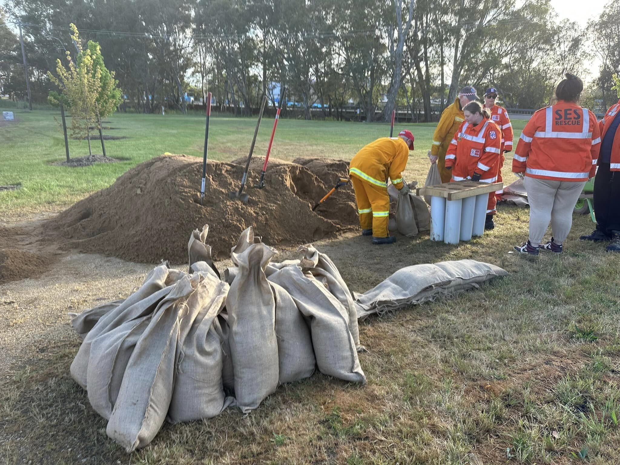 Secret footage shows race horses being shot - ABC News