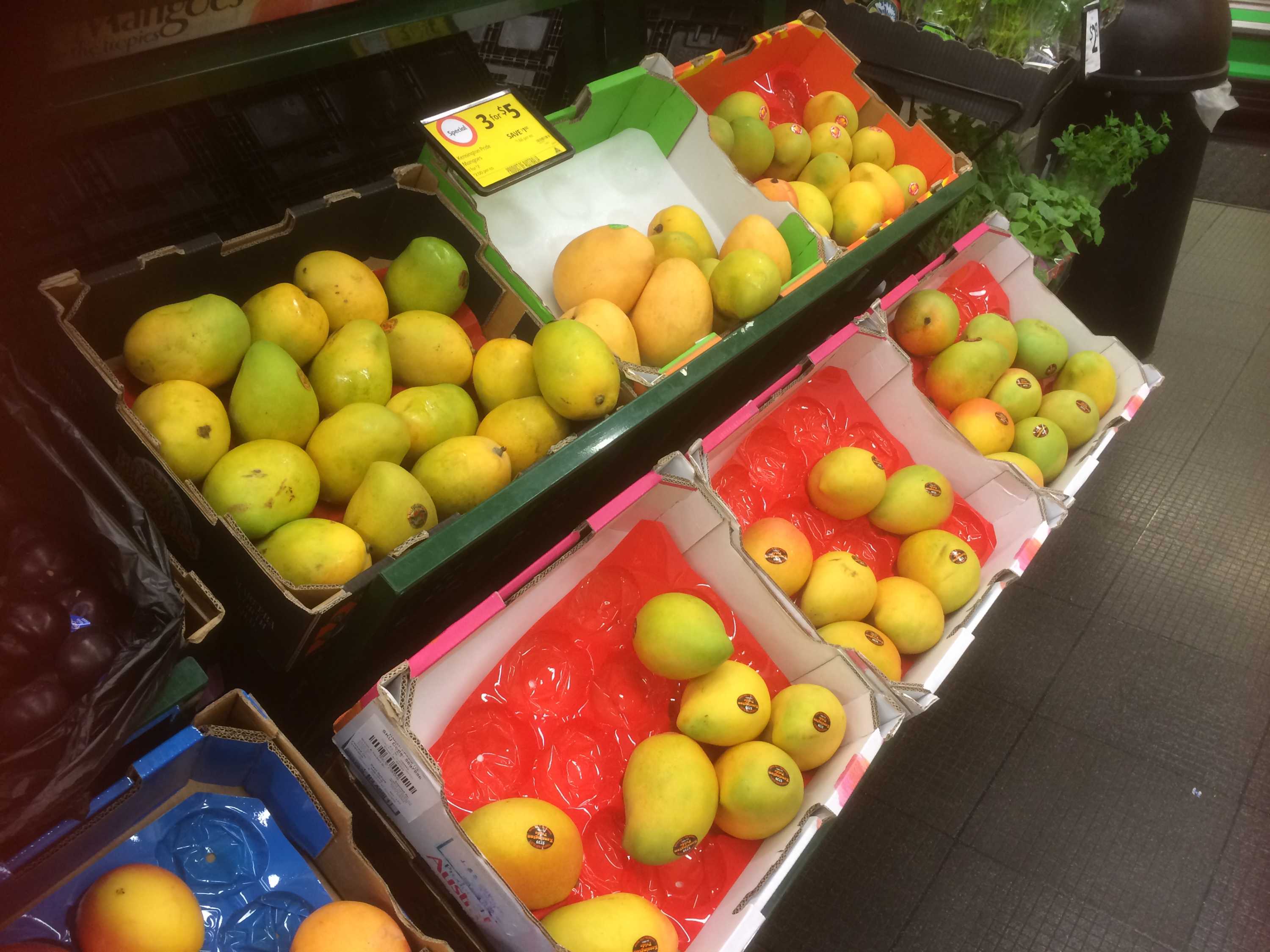 Queensland mango harvest hits peak production - ABC News