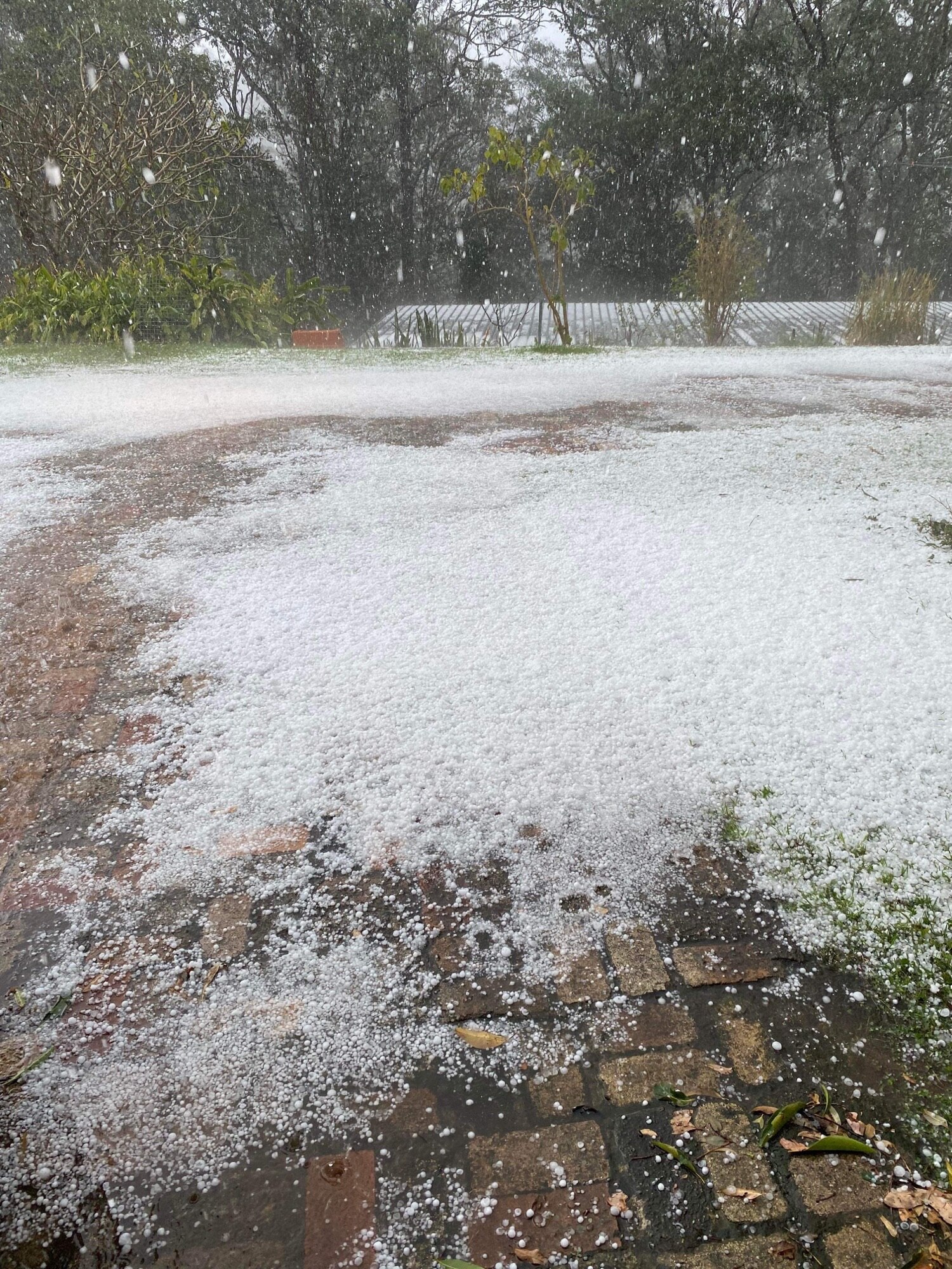 Hail and stormy weather for south-east Queensland, BOM forecasts - ABC News
