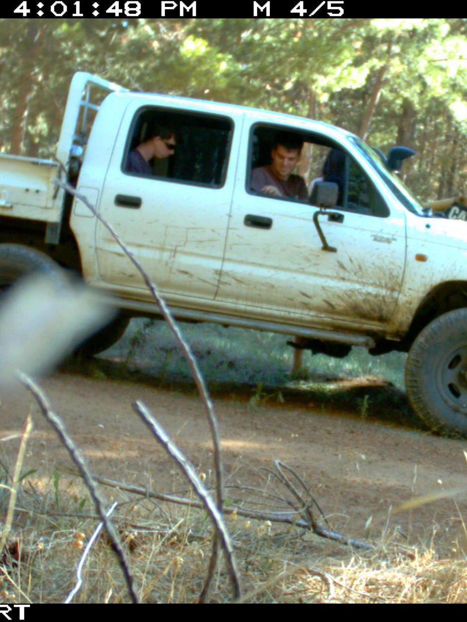 Suspected vandals caught on camera - ABC News