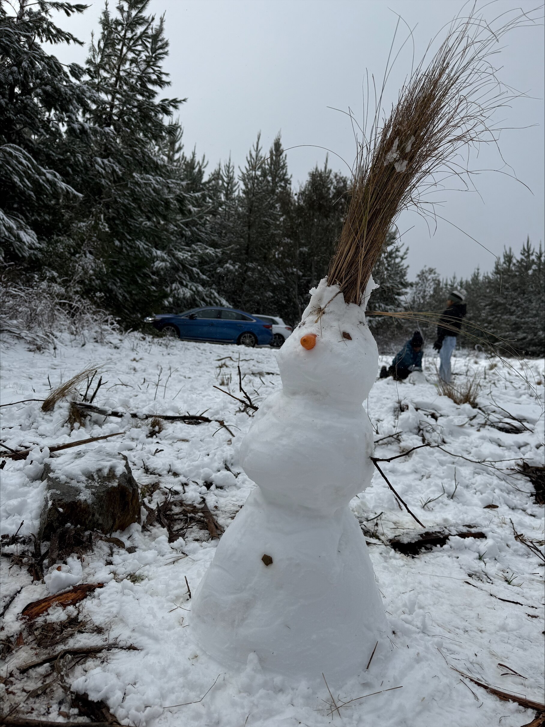 Dusting of snow for parts of the ACT, NSW, Tas and Victoria amid ...