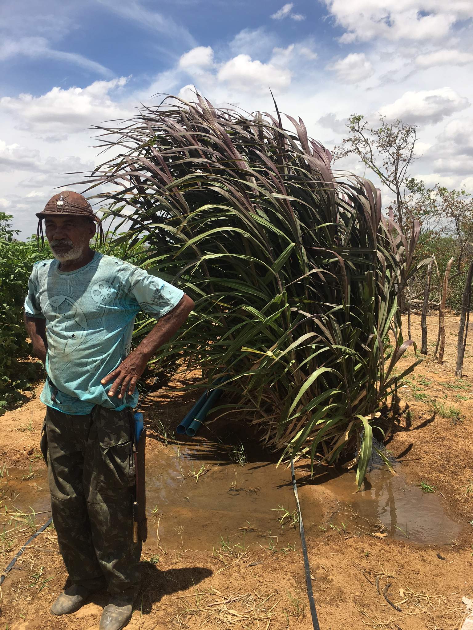 Ord Valley farmer returns from Brazil study tour with lessons on ...