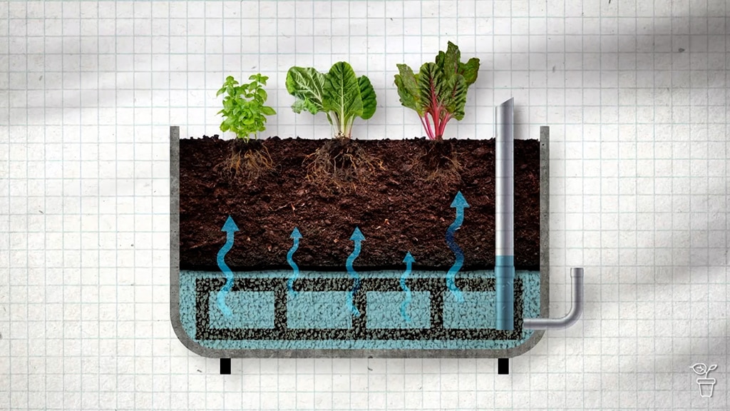Sticking to Wicking - Gardening Australia