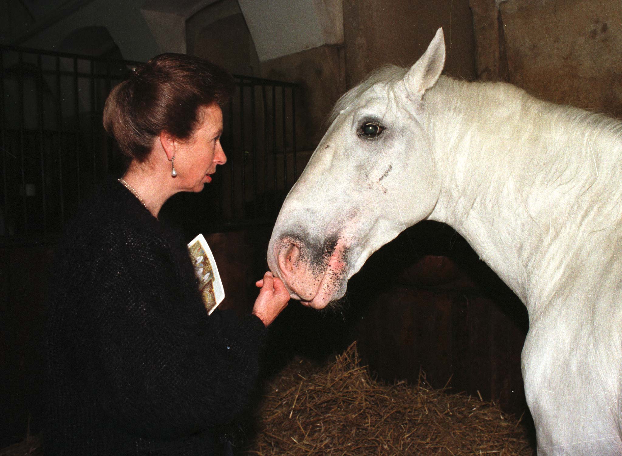 Princess Anne is out of hospital after suffering horse-related head ...