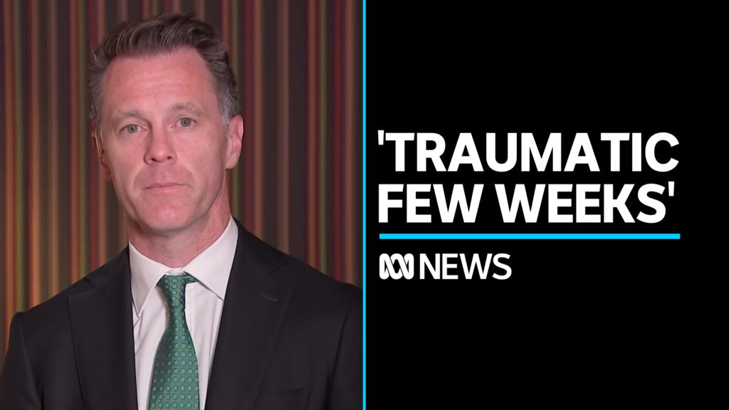 Australian armoured vehicles praised on Ukrainian frontline - ABC News