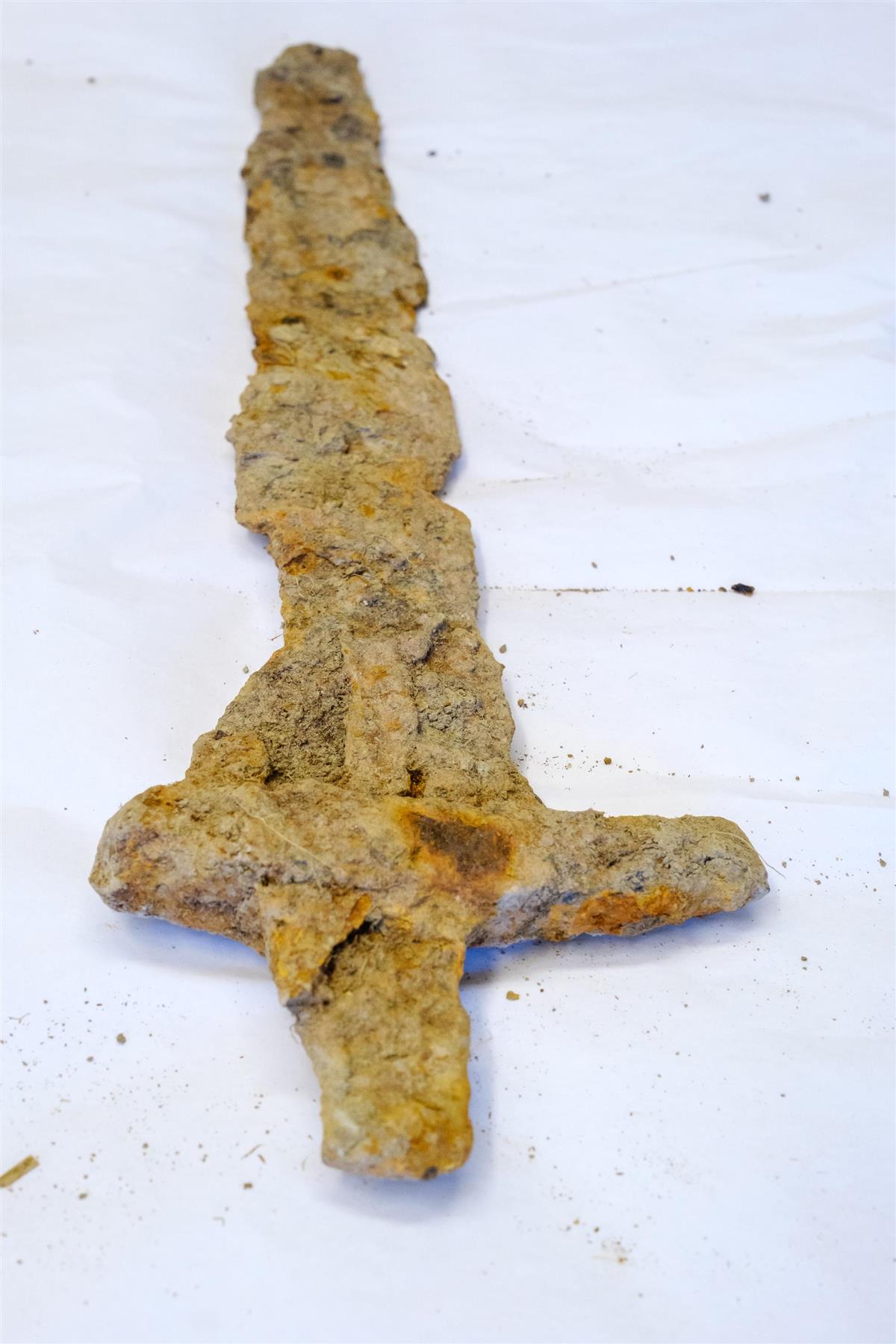 Norwegian farmer finds rare and 'well-preserved' Viking sword on ...