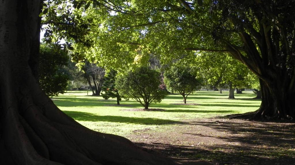 Adelaide's recycled water pipeline helping droughtproof city parklands ...