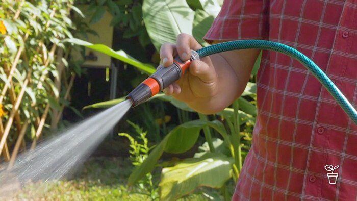 Hand Watering - Gardening Australia