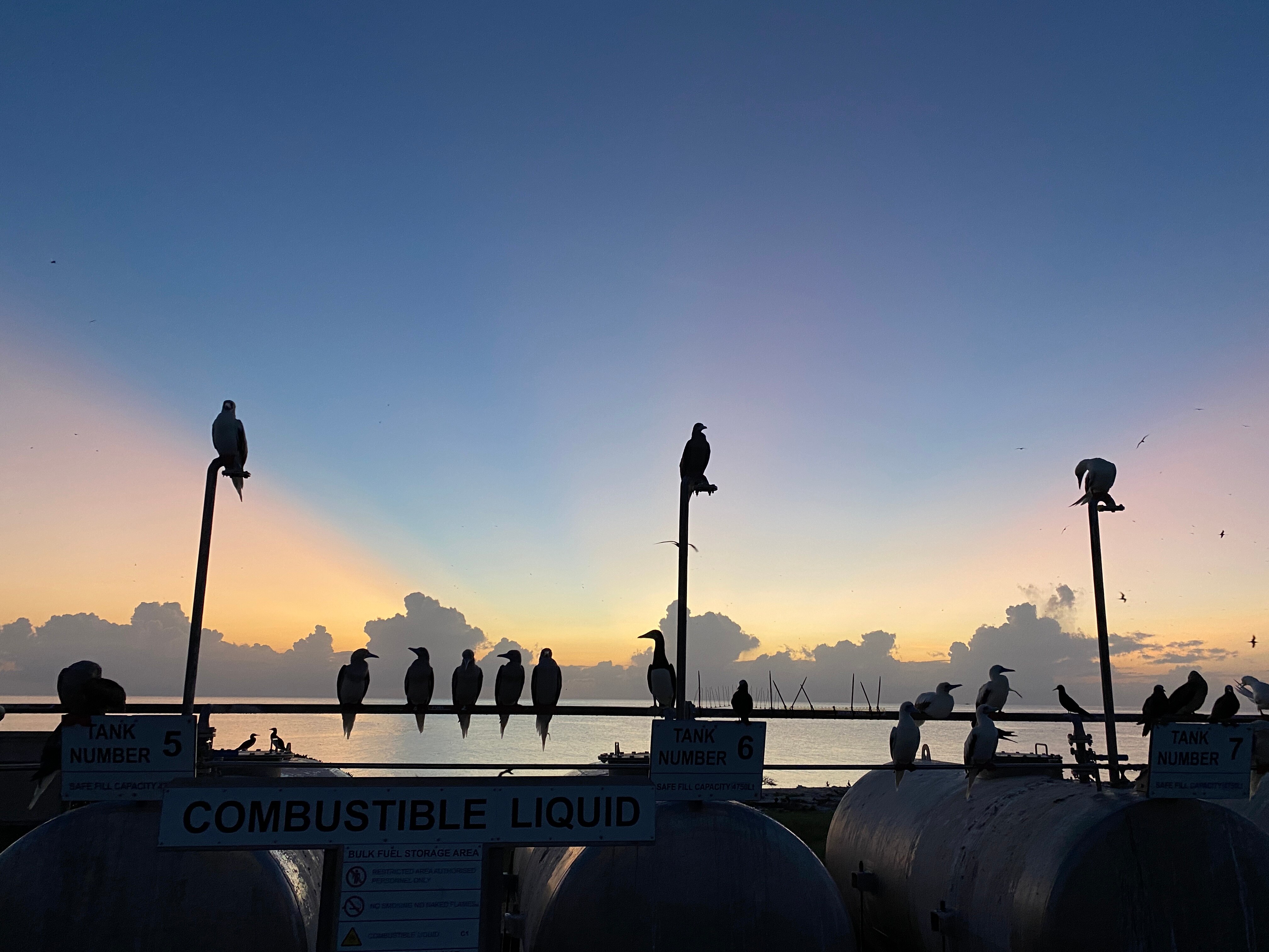 Life on Willis Island in the Coral Sea, one of the world's most remote ...