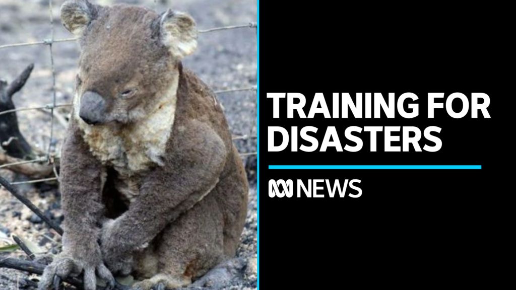 Taronga Zoo course helps workers care for animals impacted by disasters ...