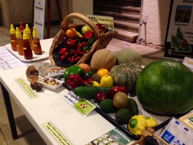 Smart bee box aids in the fight against foreign bees - ABC News