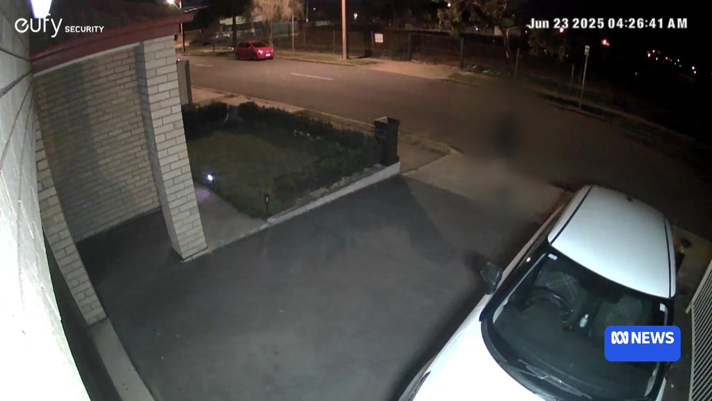 Stabbing victim at Devon Park - ABC News