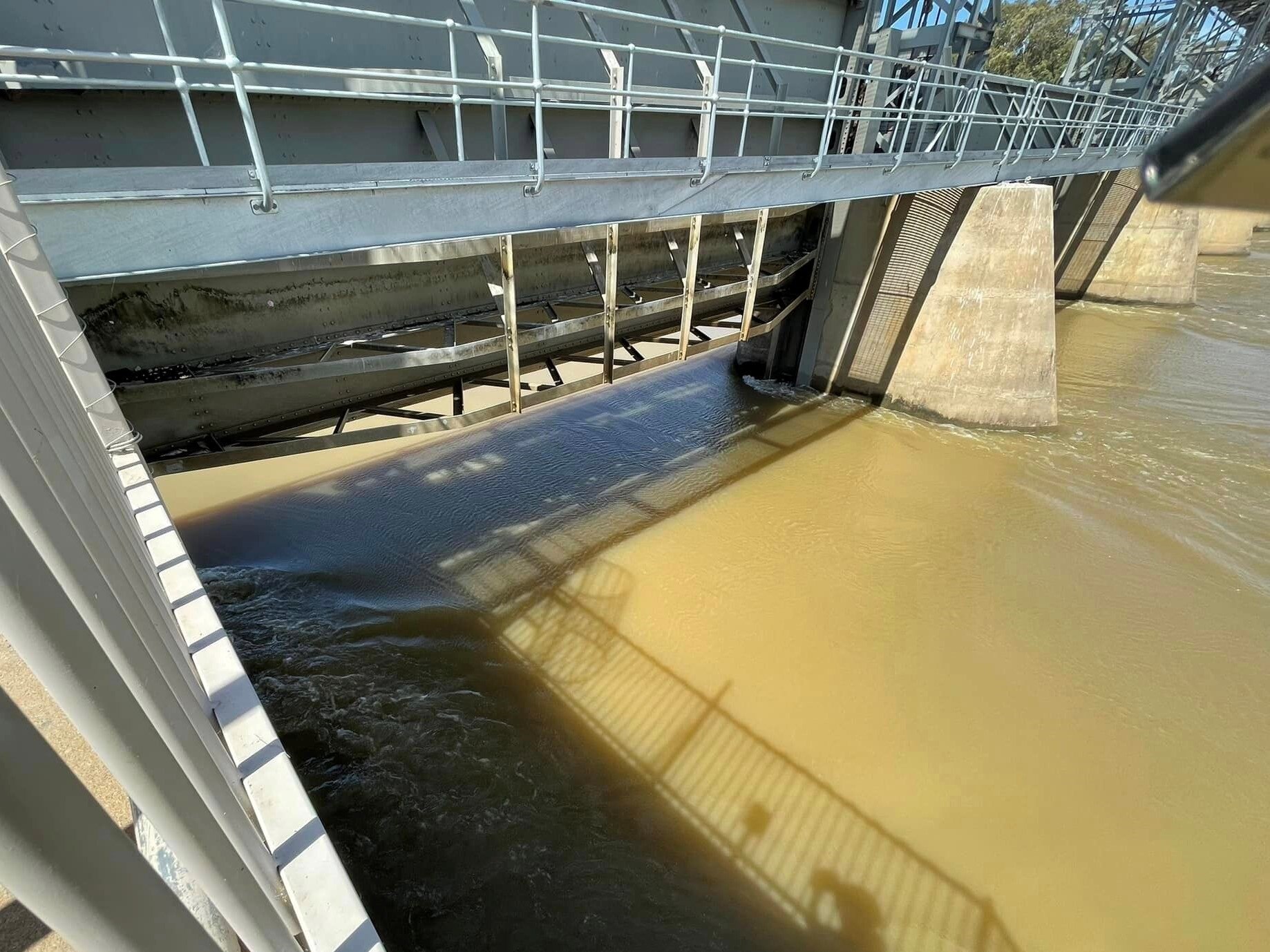 'No barrier' for Murray-Darling fish, Menindee Weir open fully for ...