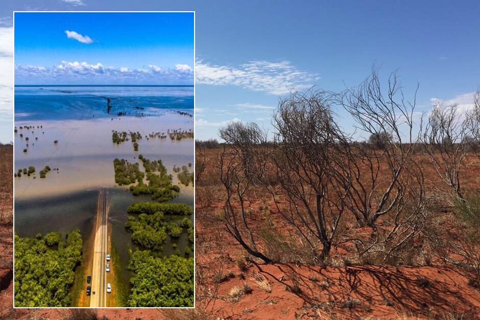 Crippling drought grips Gascoyne as Kimberley region inundated by record summer rainfall - ABC News