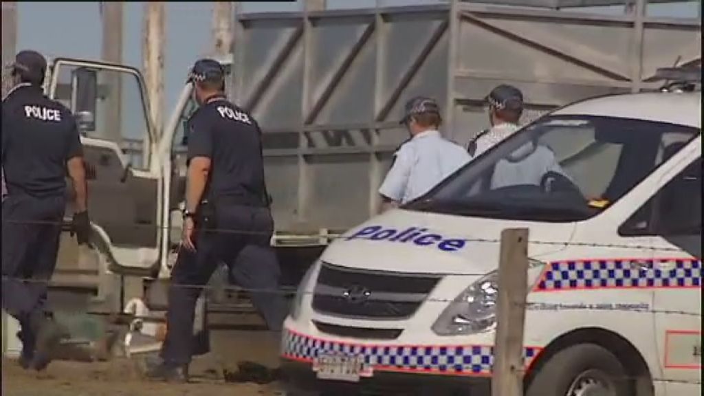 More arrests over Qld triple murder cold case - ABC News