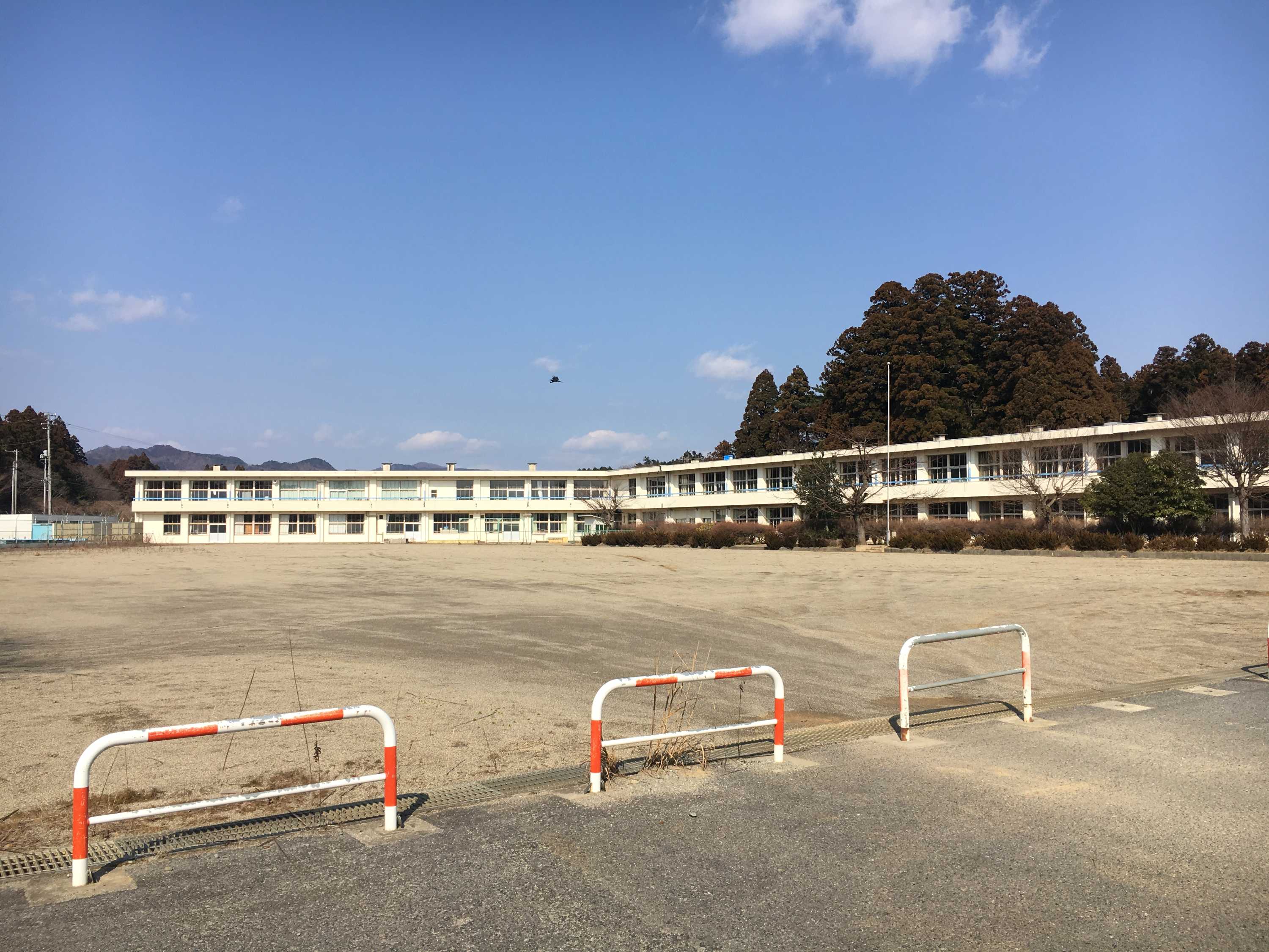 Fukushima survivors determined to rebuild new life in deserted Japanese ...