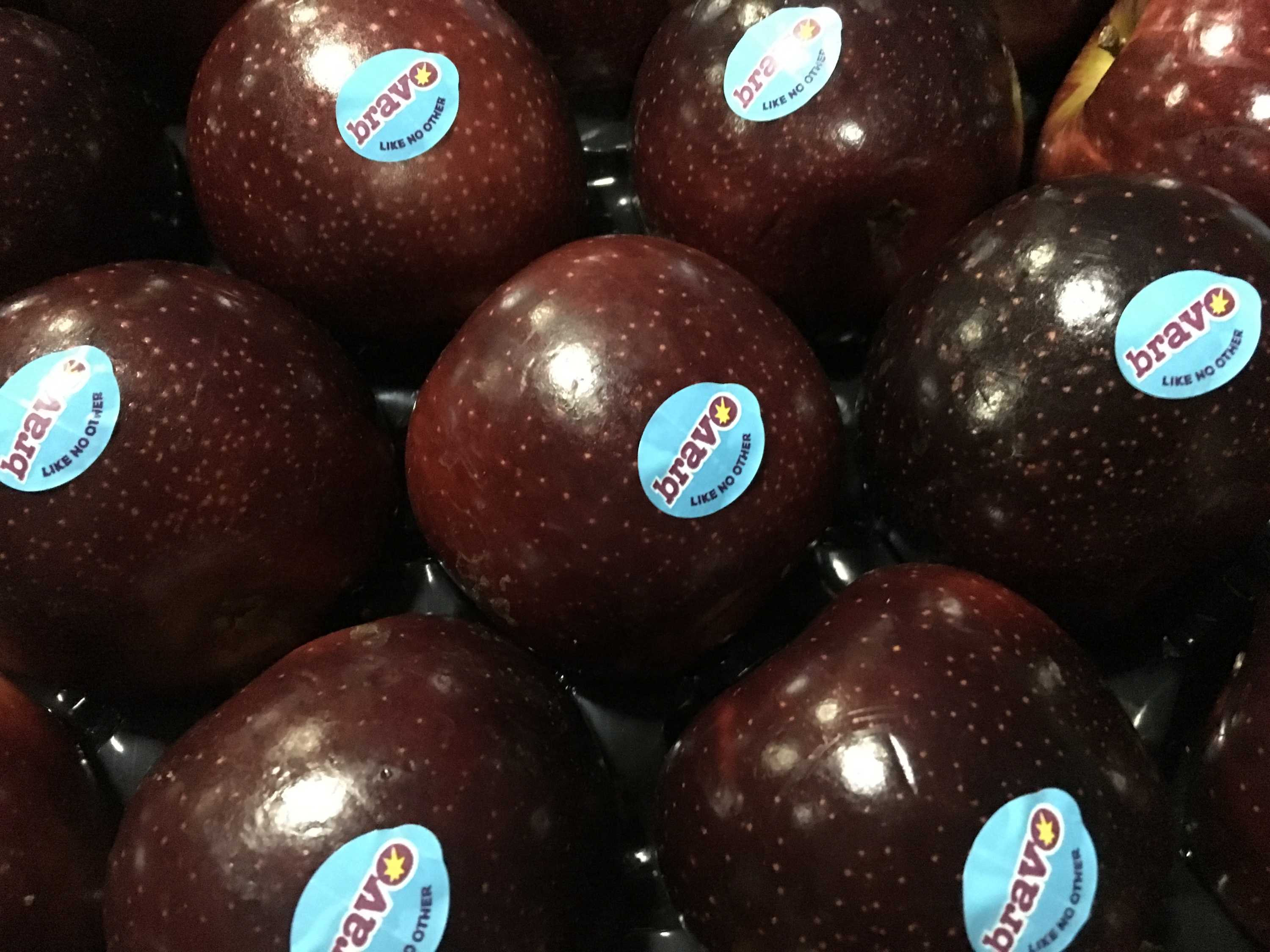 Bravo apple is rich in colour, does not go brown when sliced - ABC News