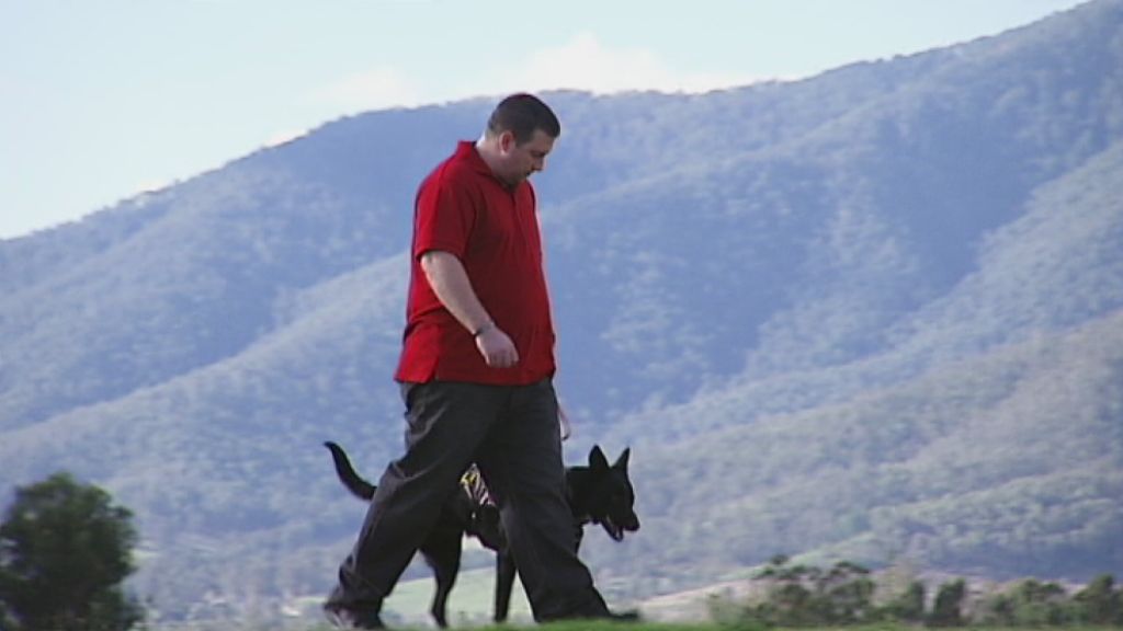 Post-traumatic stress disorder: Dogs provide new hope for patients ...