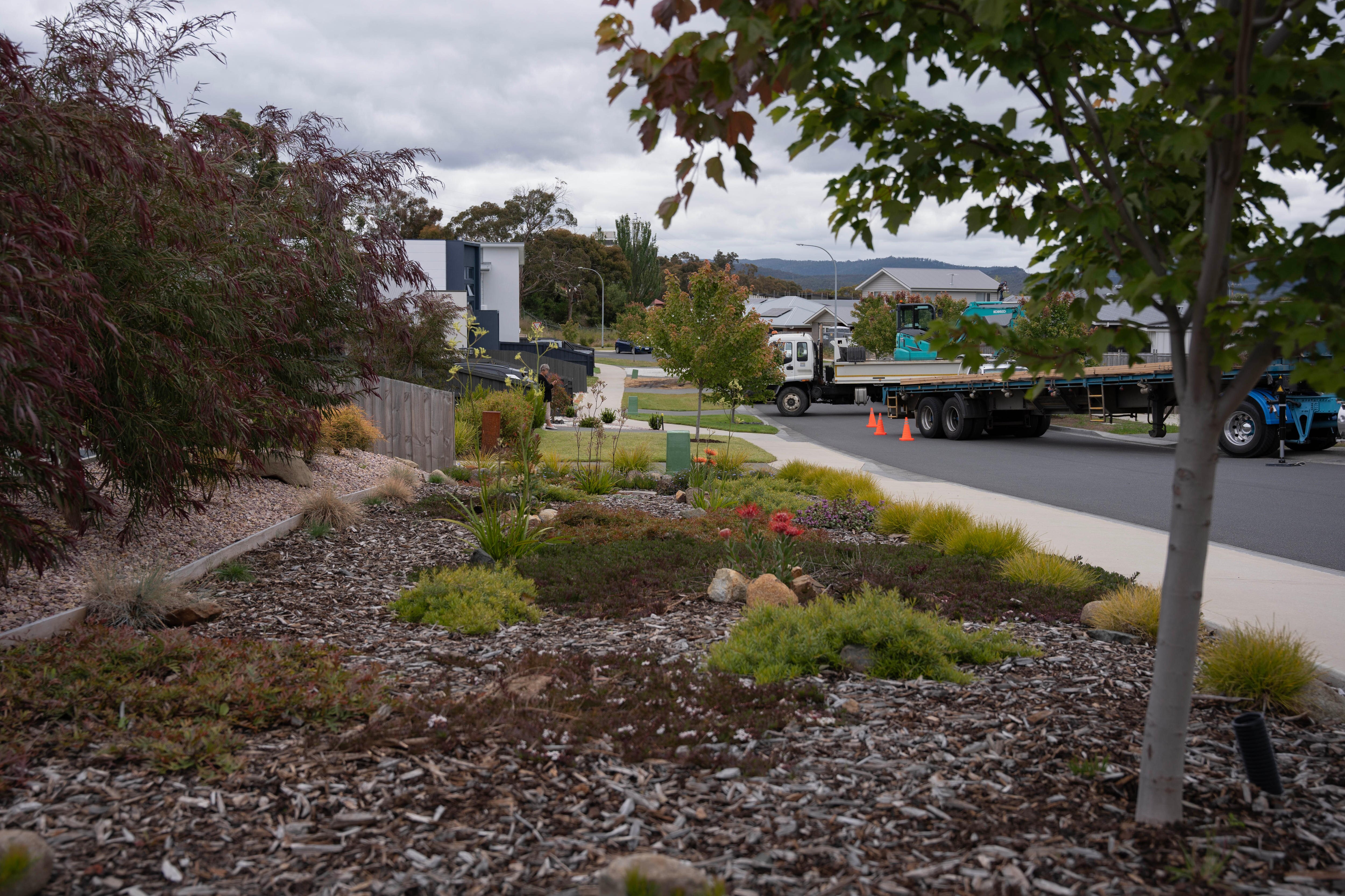 Hobart council changing rules for nature strips but strict rules to be ...