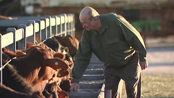 Central Queensland graziers bringing local steak back to the 'beef ...