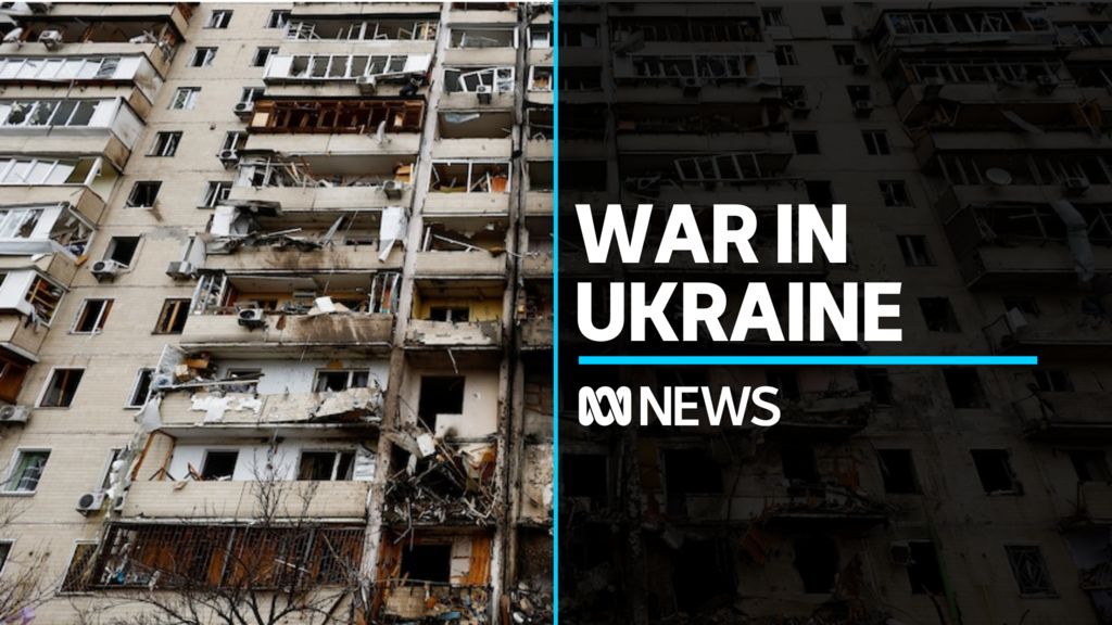 Orangutan conservationist Lone Droscher speaks with ABC News Breakfast