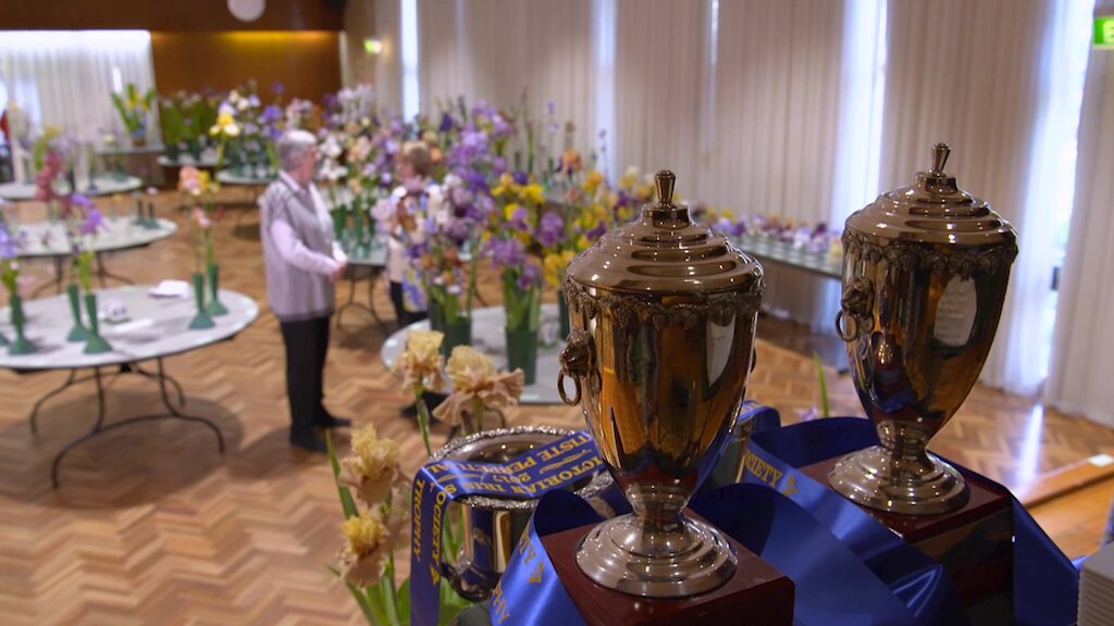 Gardening Australia recap: The calming qualities of bonsai and iris ...