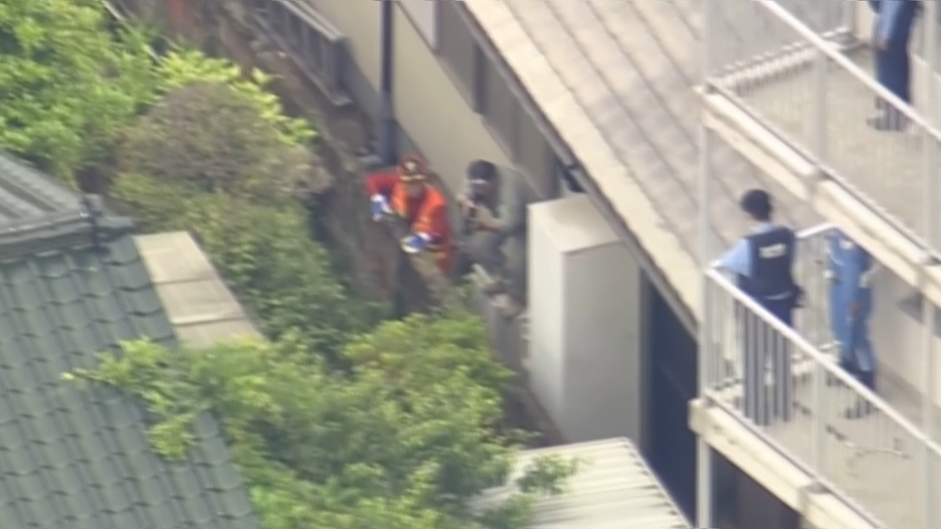 Bear tranquilised after roaming suburb in Japan - ABC News