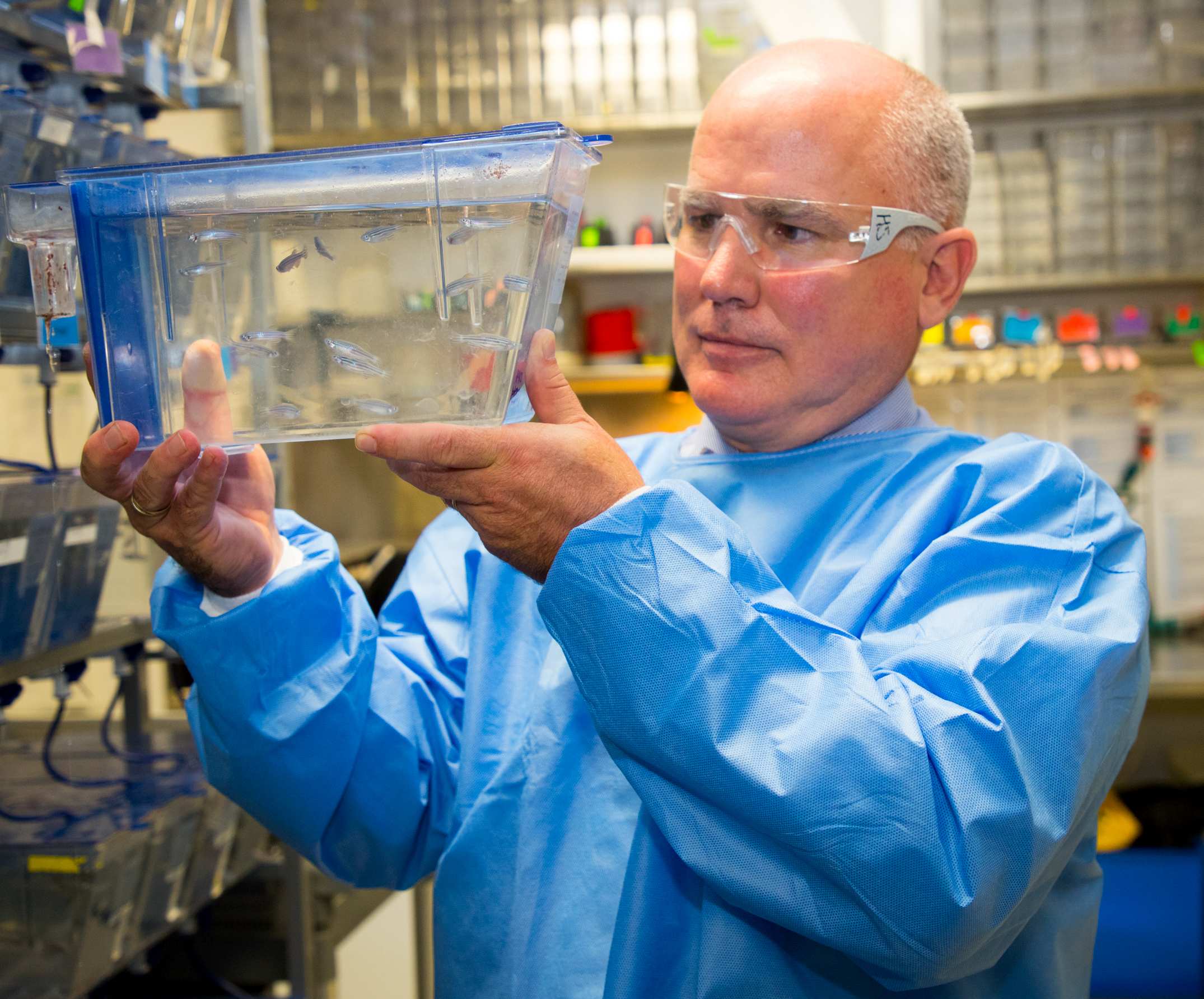 Scientists push to explore potential link between Motor Neurone Disease ...