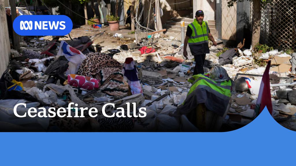 Anthony Albanese apologises for Tourette slur - ABC News