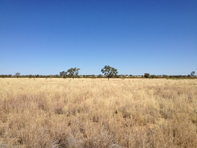 Western Queensland pastures will suffer from frost - ABC News
