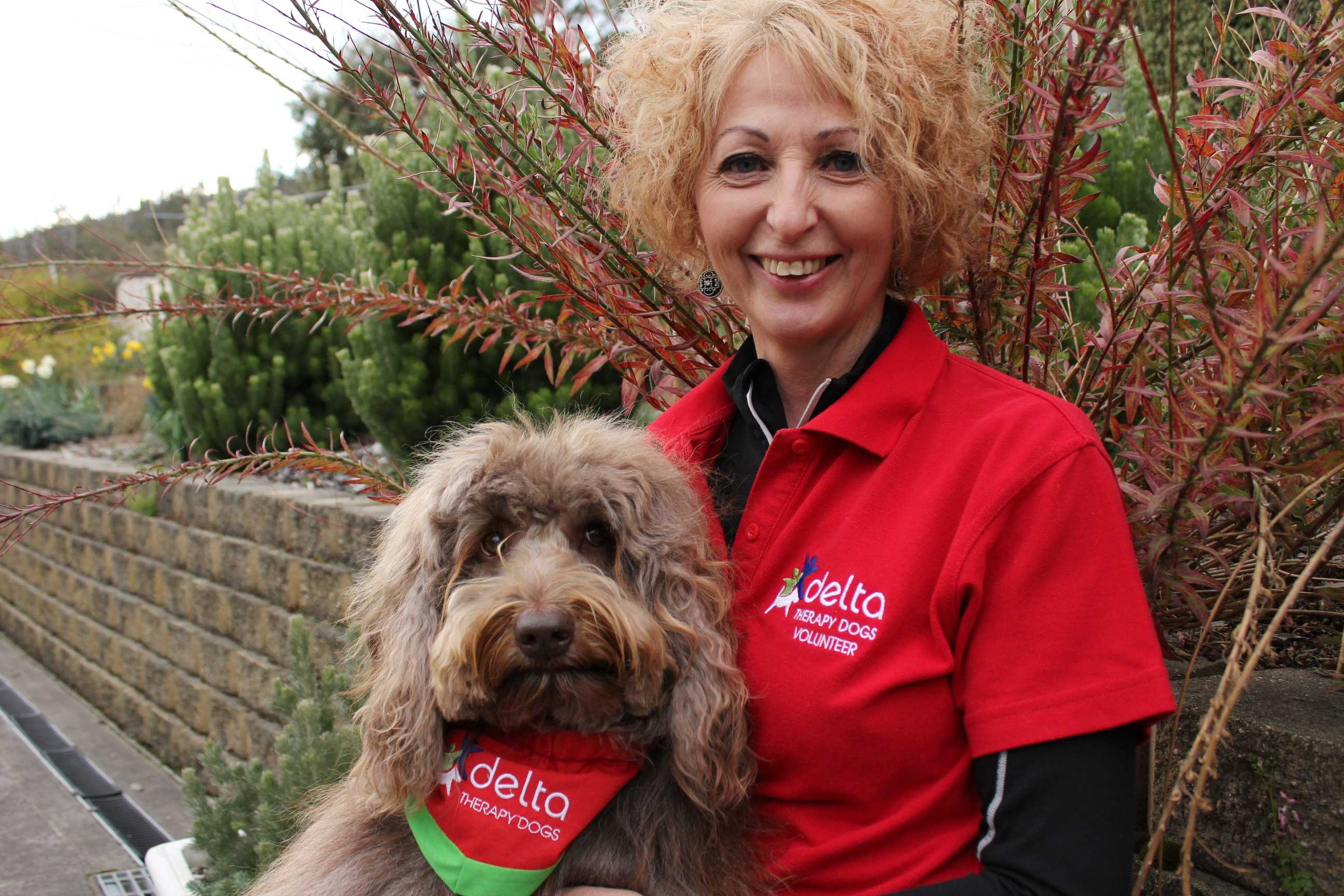 Canine cuddles: therapy dogs make a difference to Hobart residents ...