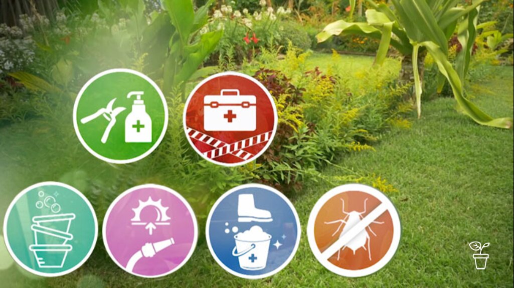 Clean Living - Gardening Australia