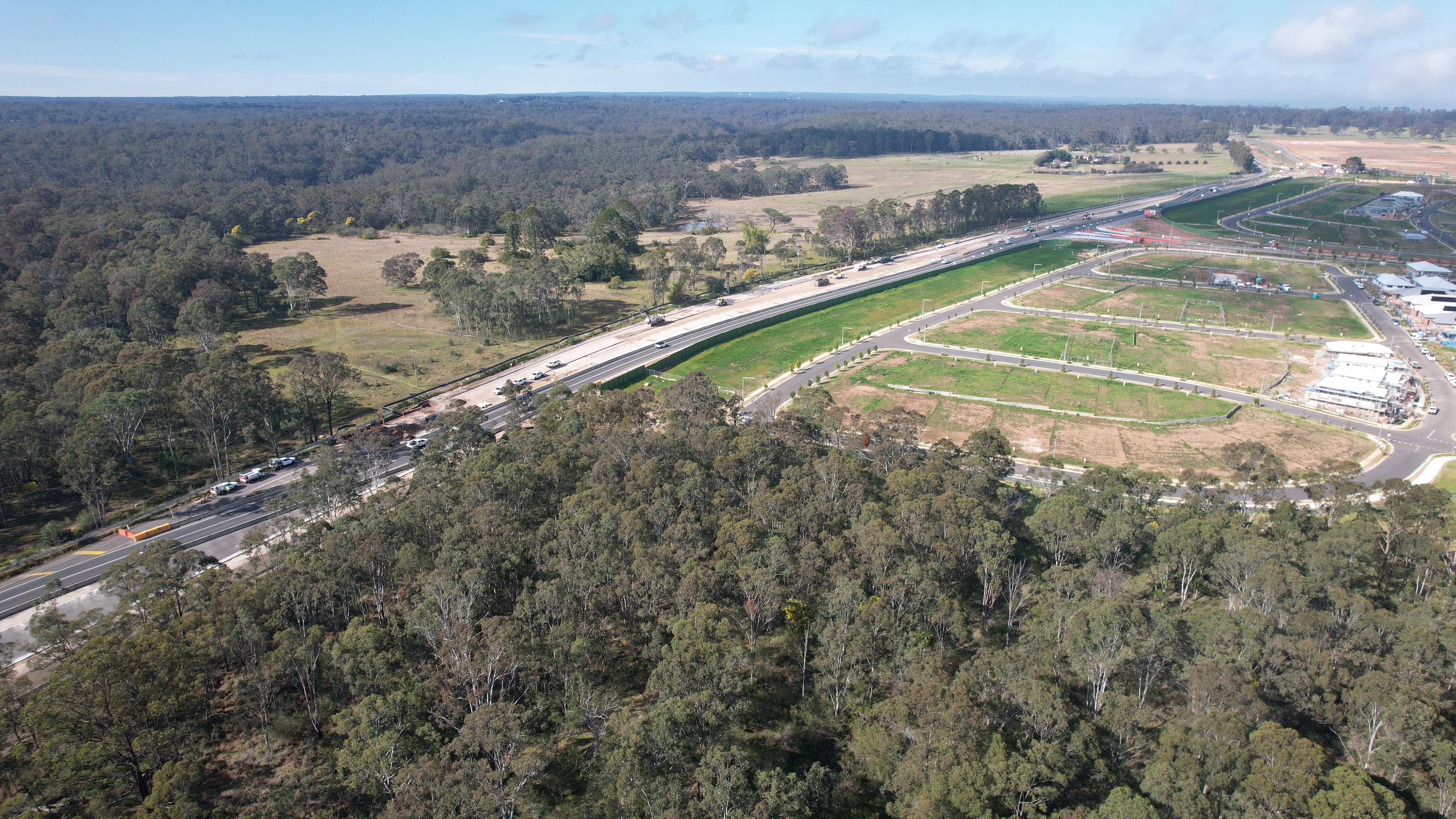 Appin Road koala underpass construction delayed south of Sydney - ABC News
