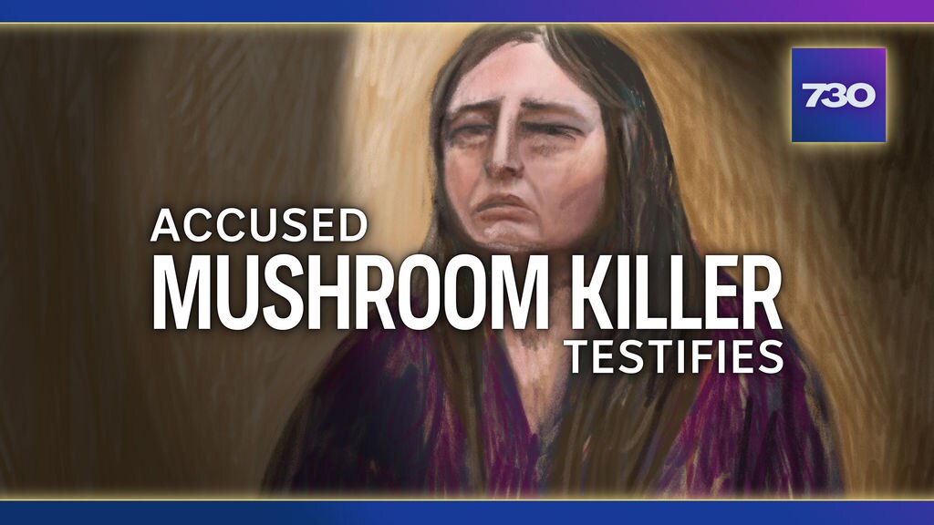 Accused mushroom murderer Erin Patterson gives evidence in court - ABC News