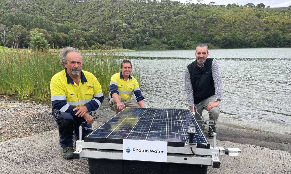 Ultrasonic wave technology to target cyanobacteria and algae in Mount ...