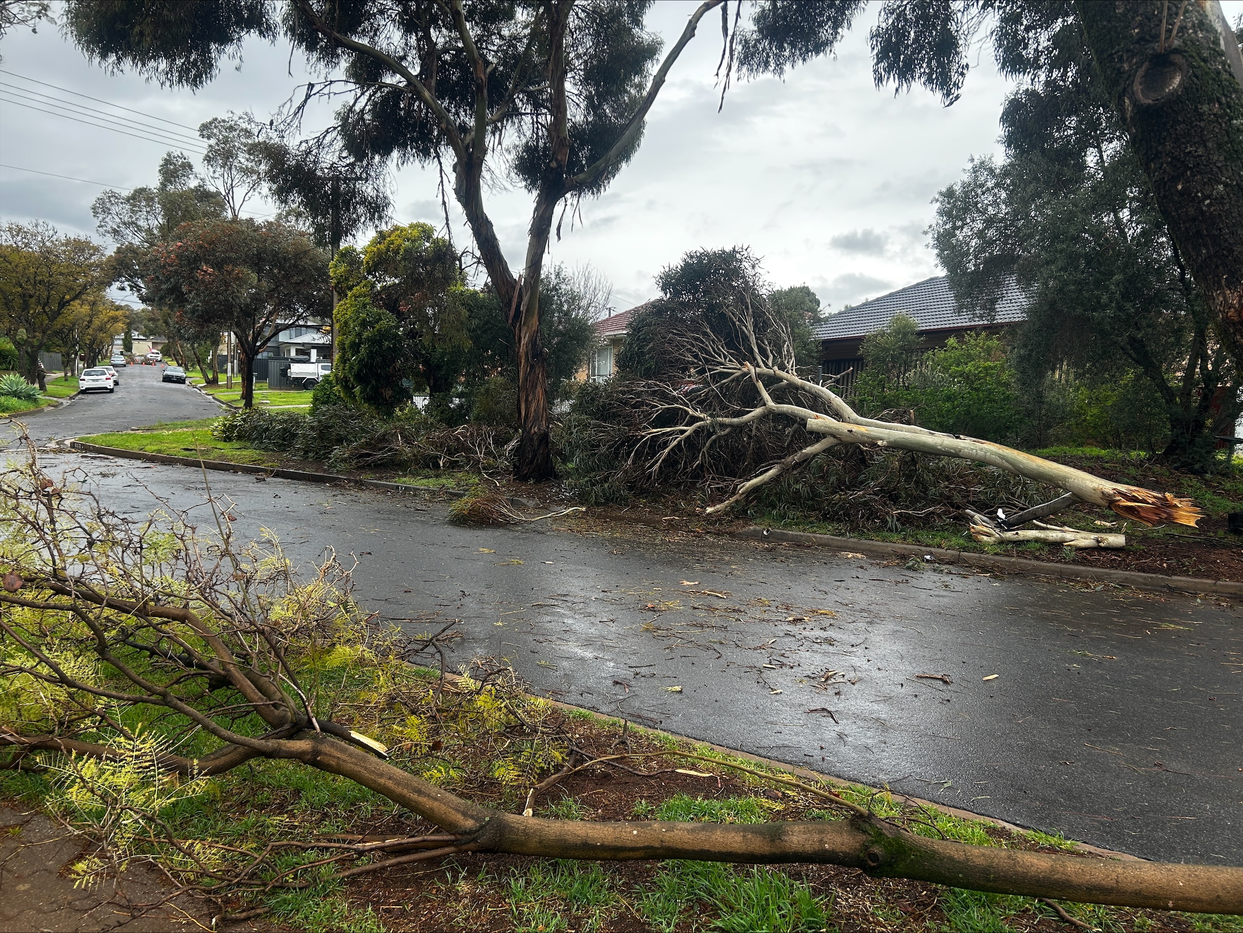 Two small and fast-moving tornadoes 'likely' hit Adelaide's northern ...