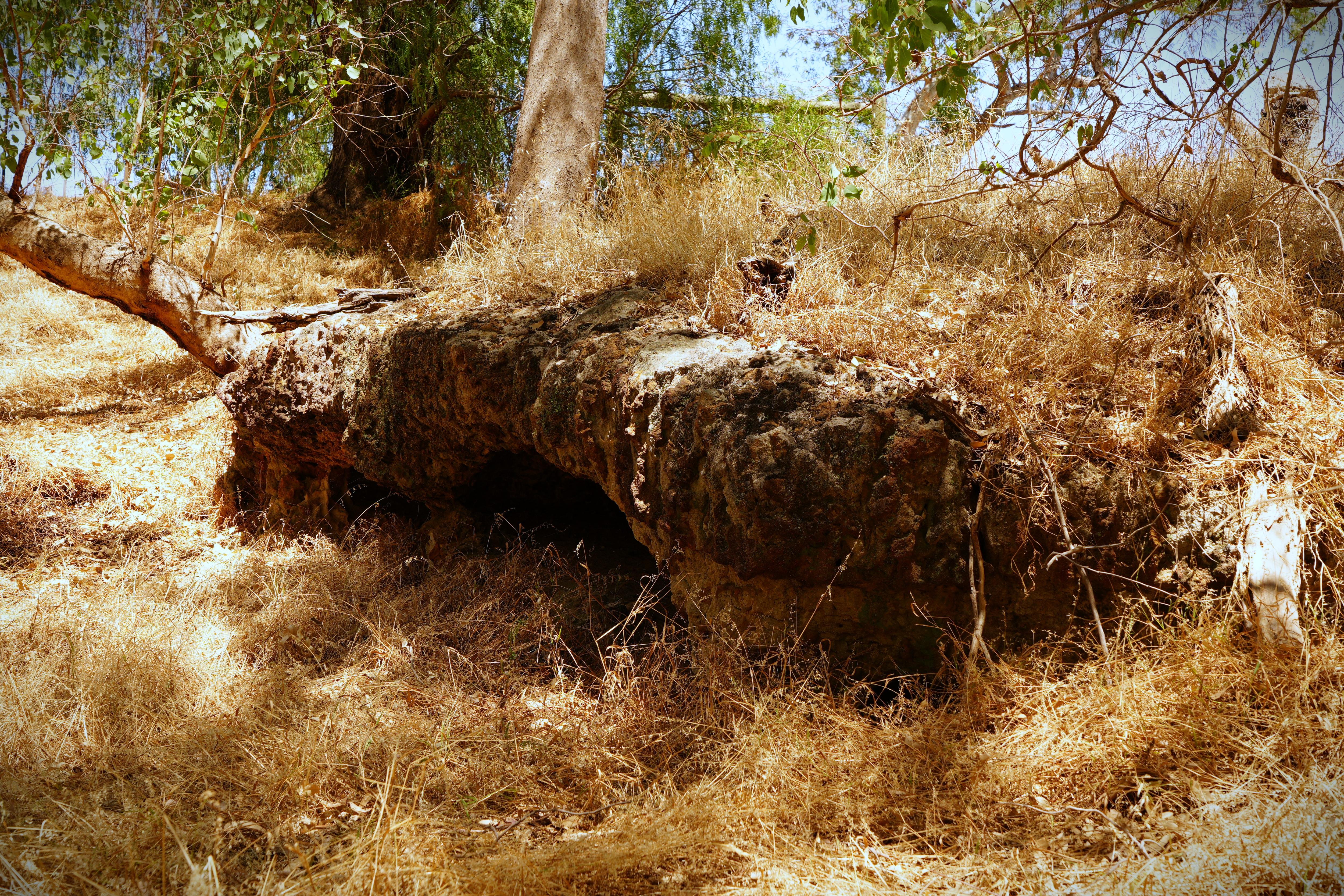 Site for Helena River bridge in Perth's east becomes 'rubbish tip' as ...