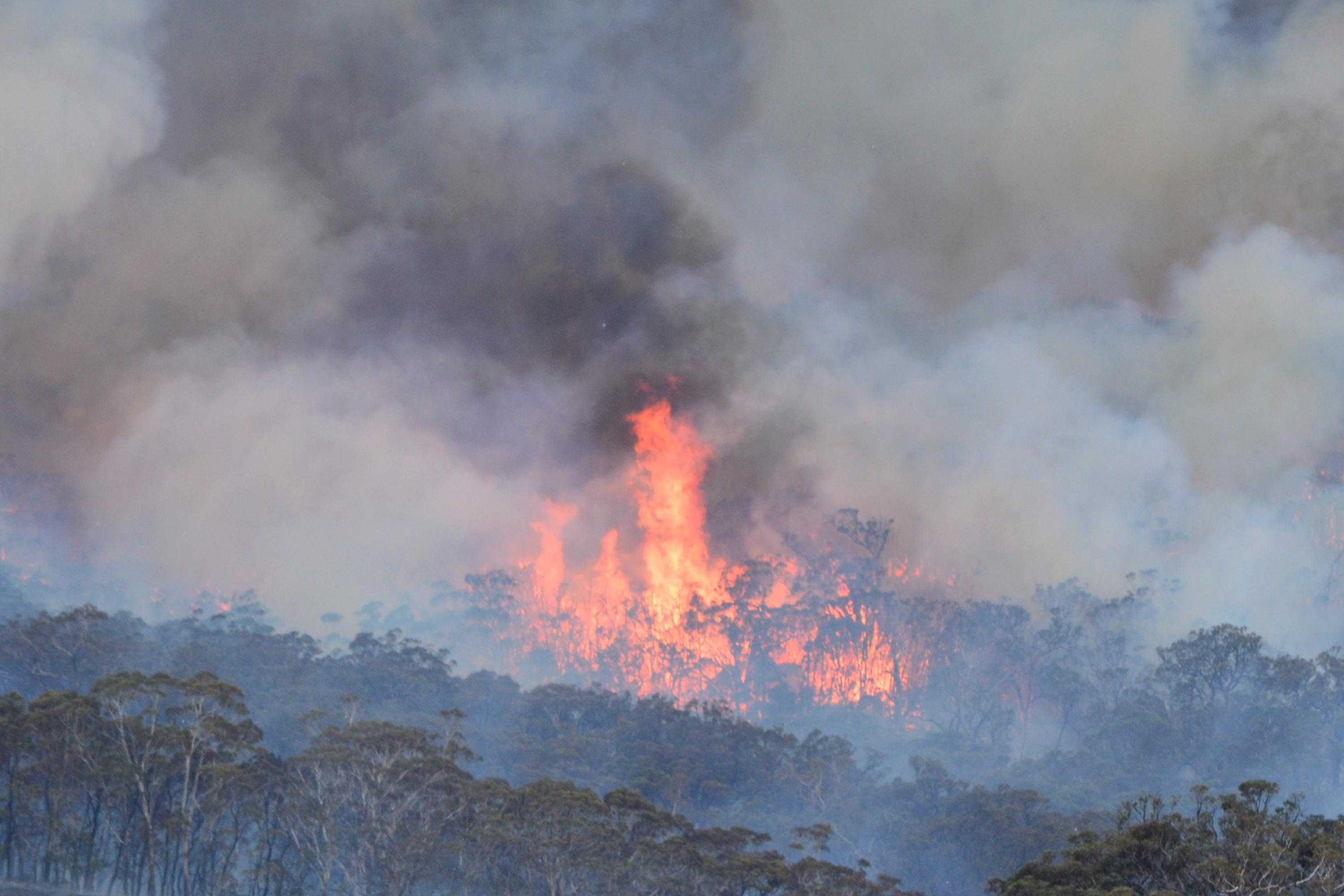 Victoria's bushfire threat high with hot, dry summer to come - ABC News