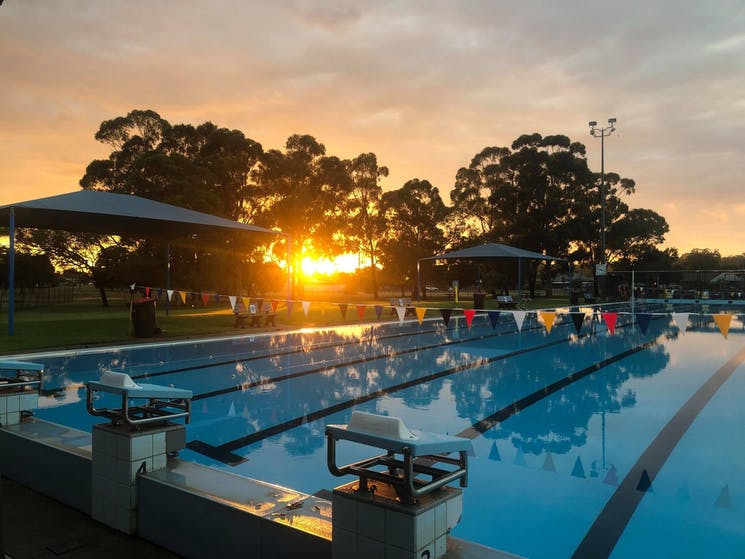 Mahnaz Angury - ABC News