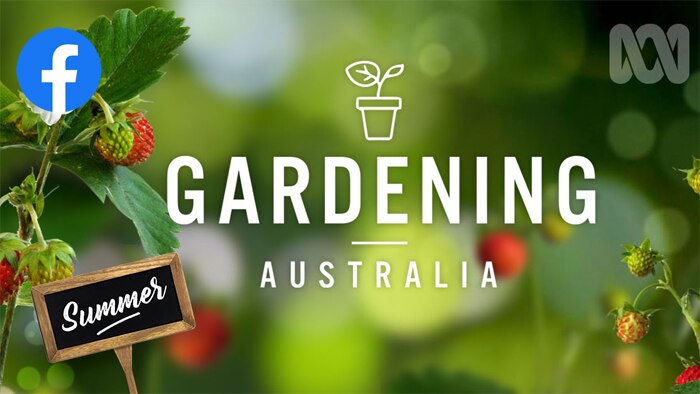 Looking for us on Facebook? - Gardening Australia