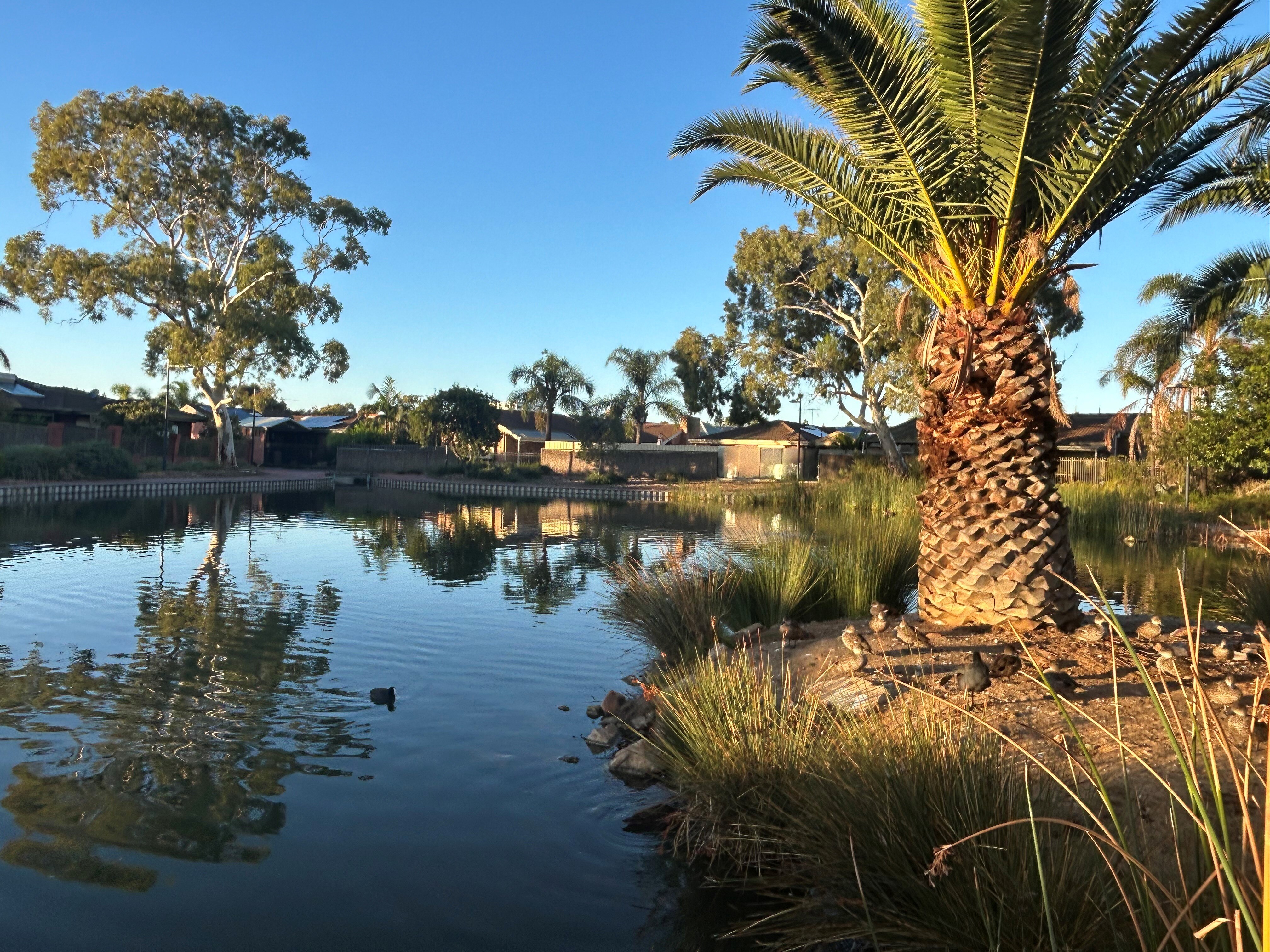 Residents concerned about wildlife seek to ban fishing at Delfin Island ...