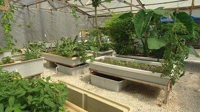 Hydro Heaven - Gardening Australia