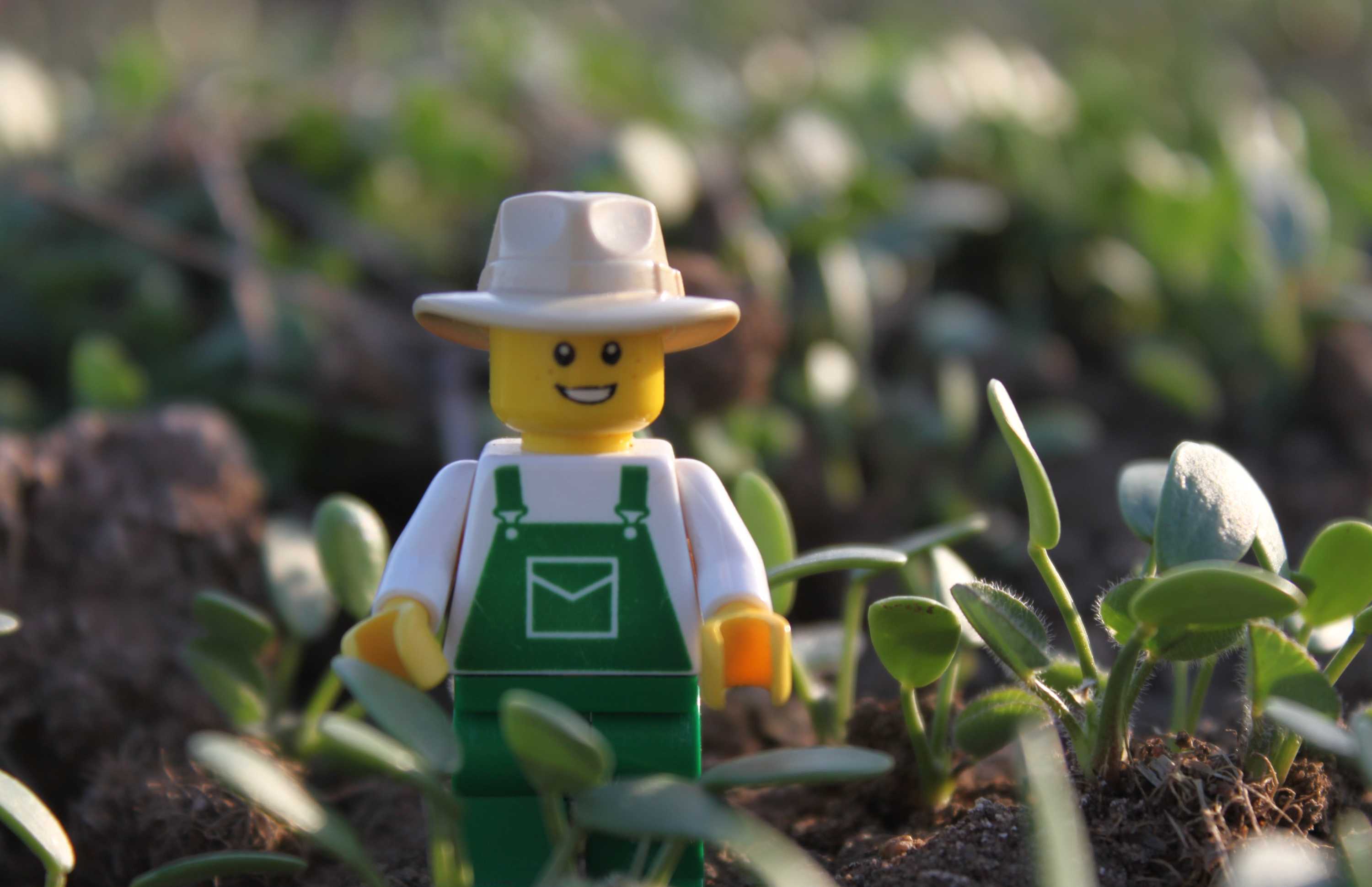 Little Brick Pastoral celebrates story of Australian agriculture with ...