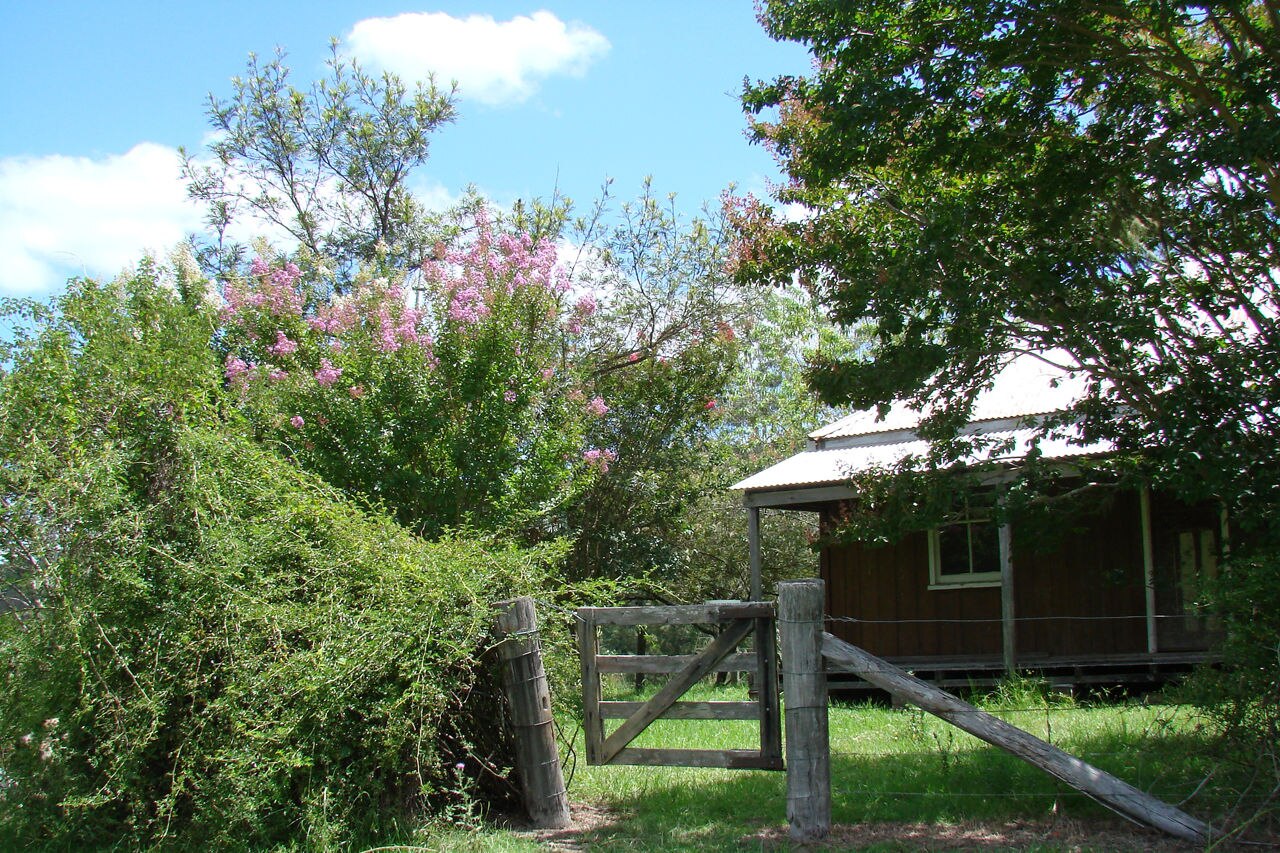 The Slim Dusty Way - ABC News