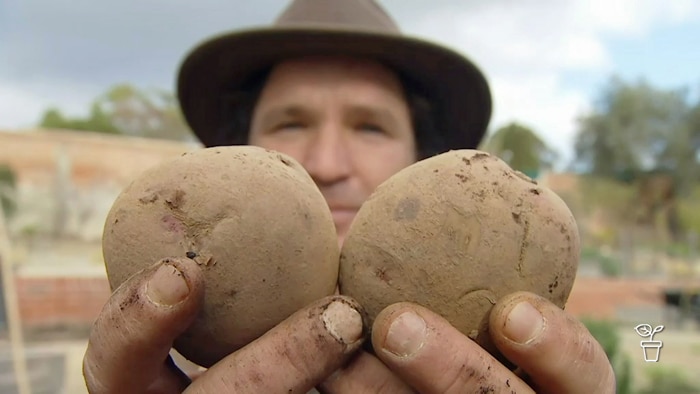 Easy Spuds - Gardening Australia