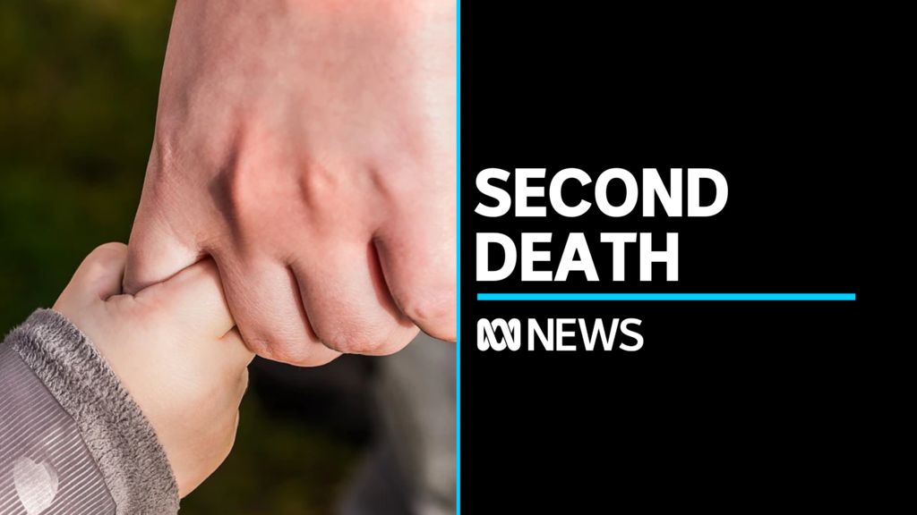 Second Adelaide child's death of suspected neglect investigated - ABC News