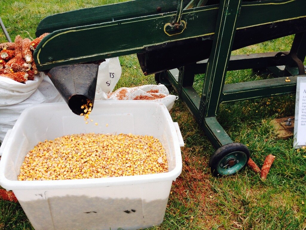 Almost-vintage Austral corn-sheller on show in Maffra - ABC News