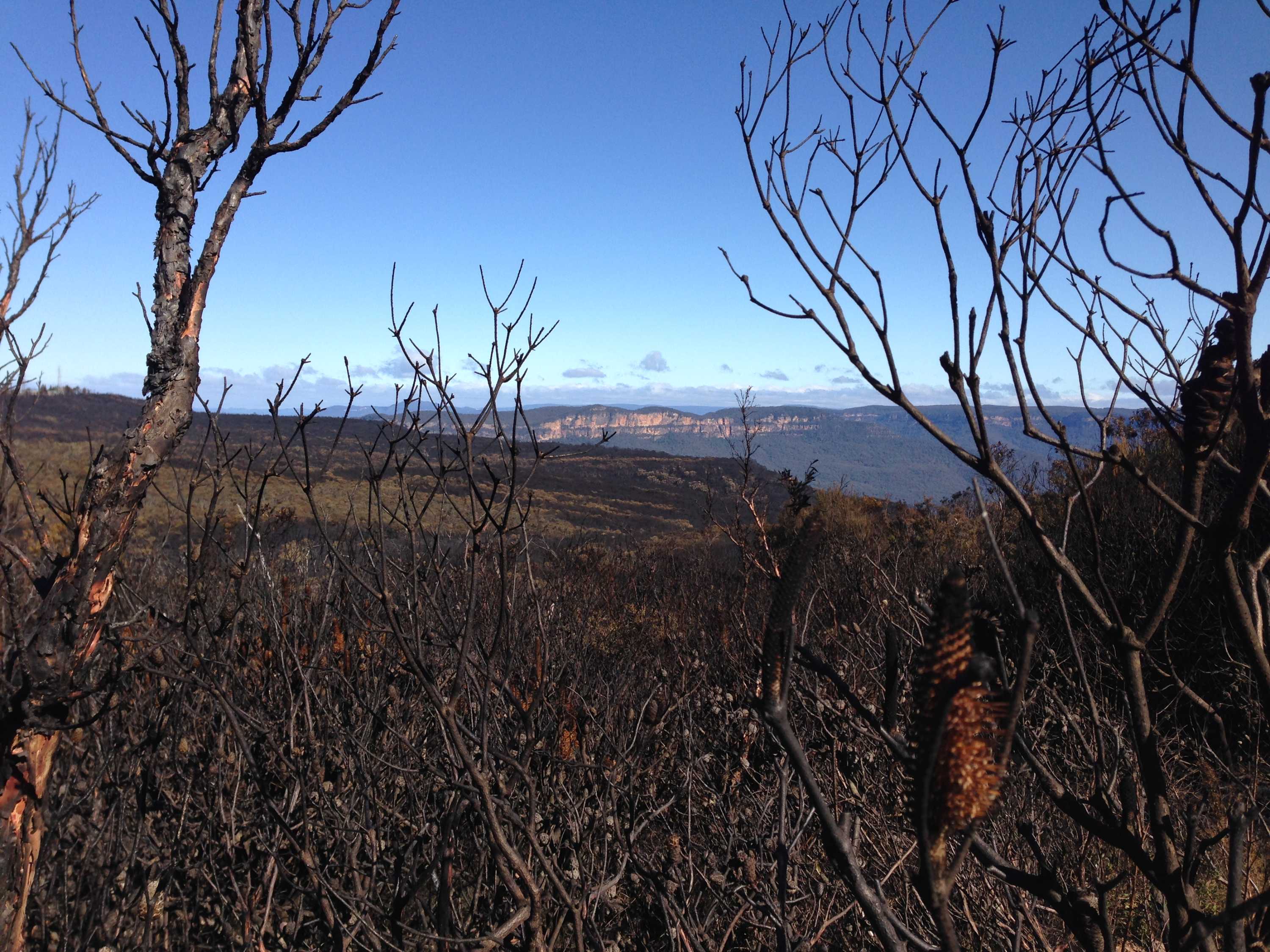 Blue Mountains bushfire: Extra firefighters tackling 'suspicious' blaze ...