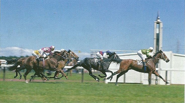 Bart Cummings: A timeline of the Cups King's 89 entries in the race ...