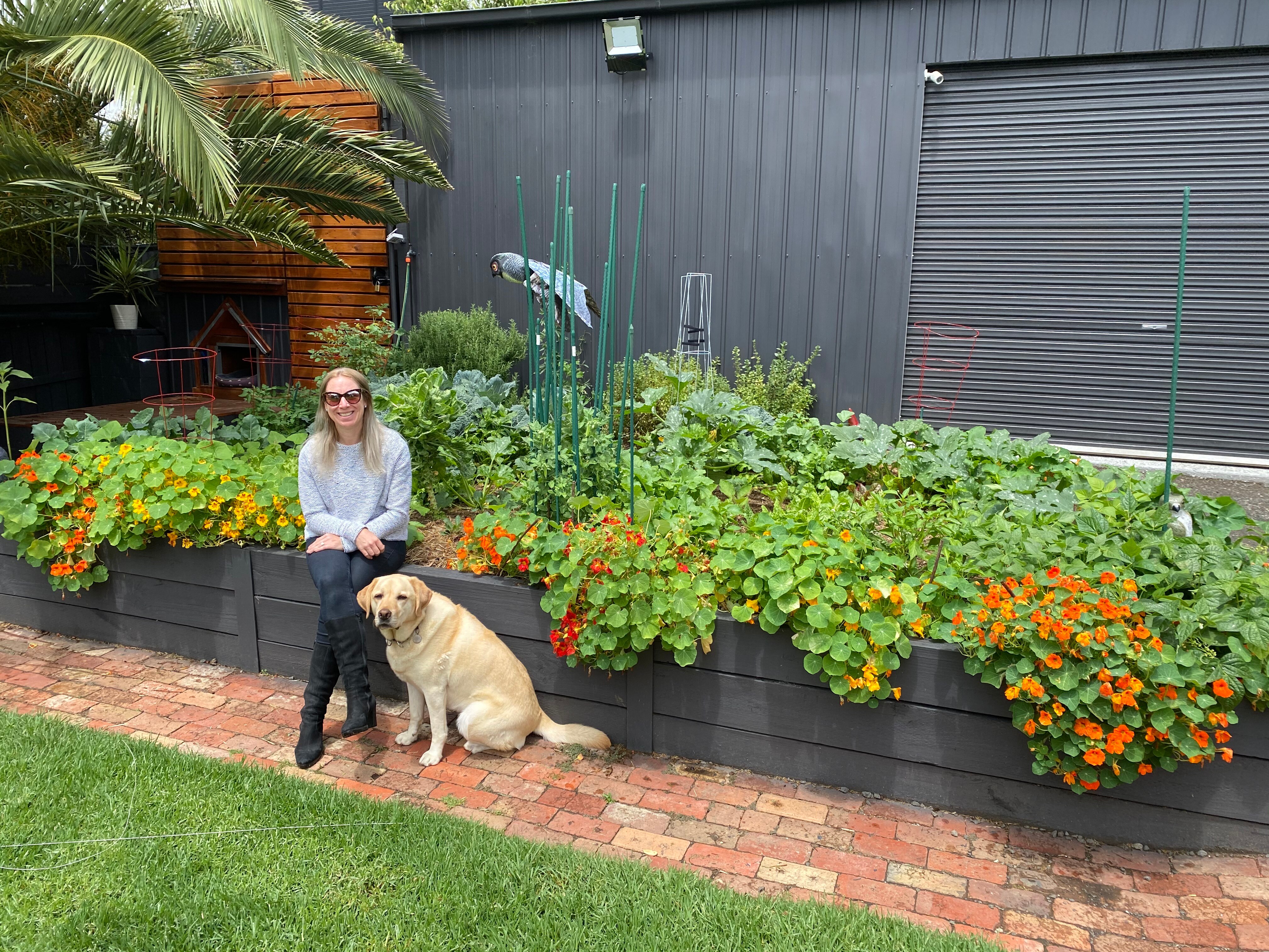 Australia looks back on what 2020 taught them - ABC News